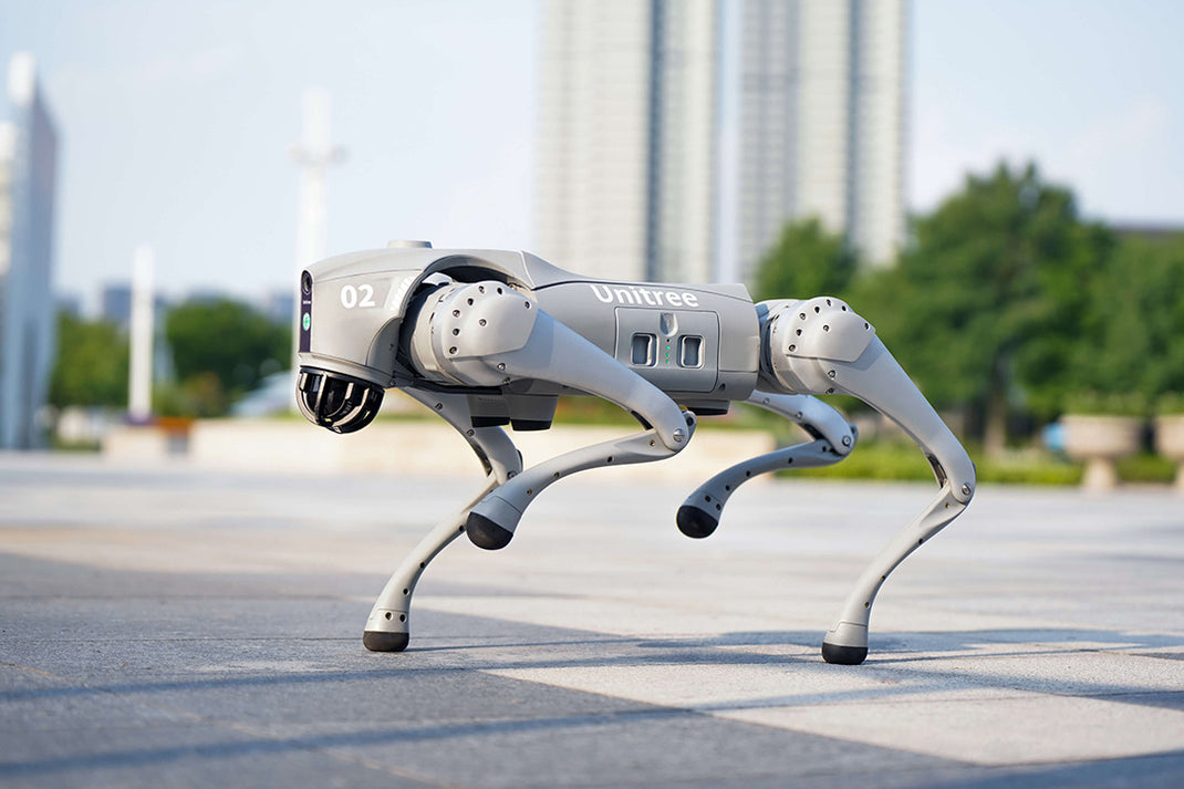 Unitree Go2 – Delta Robots