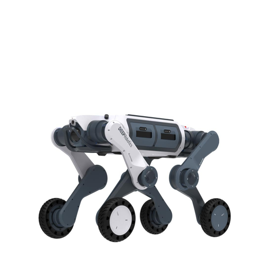 Collections – Delta Robots