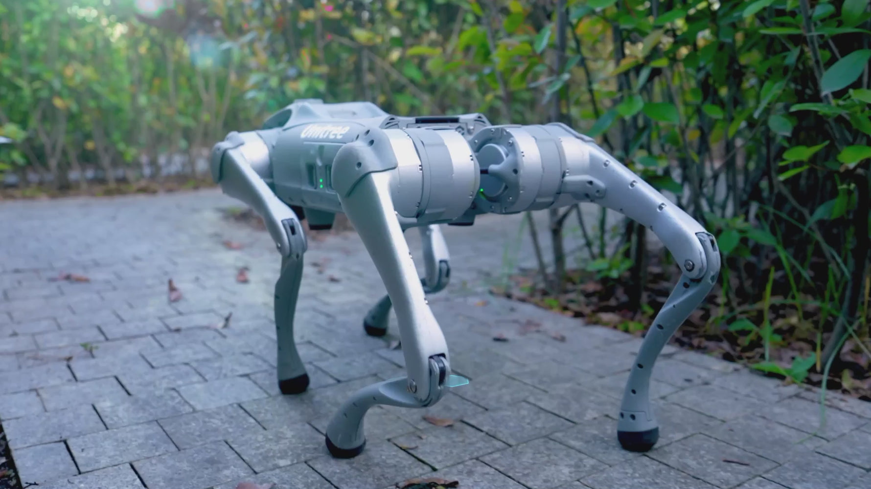 Unitree Go2 – Delta Robots