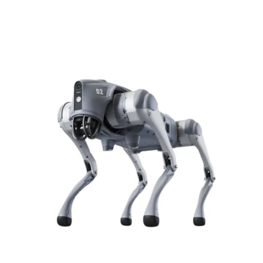 Collections – Delta Robots